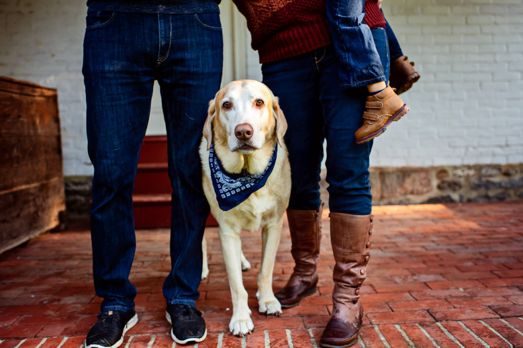 The Experience – Shilliday Photography